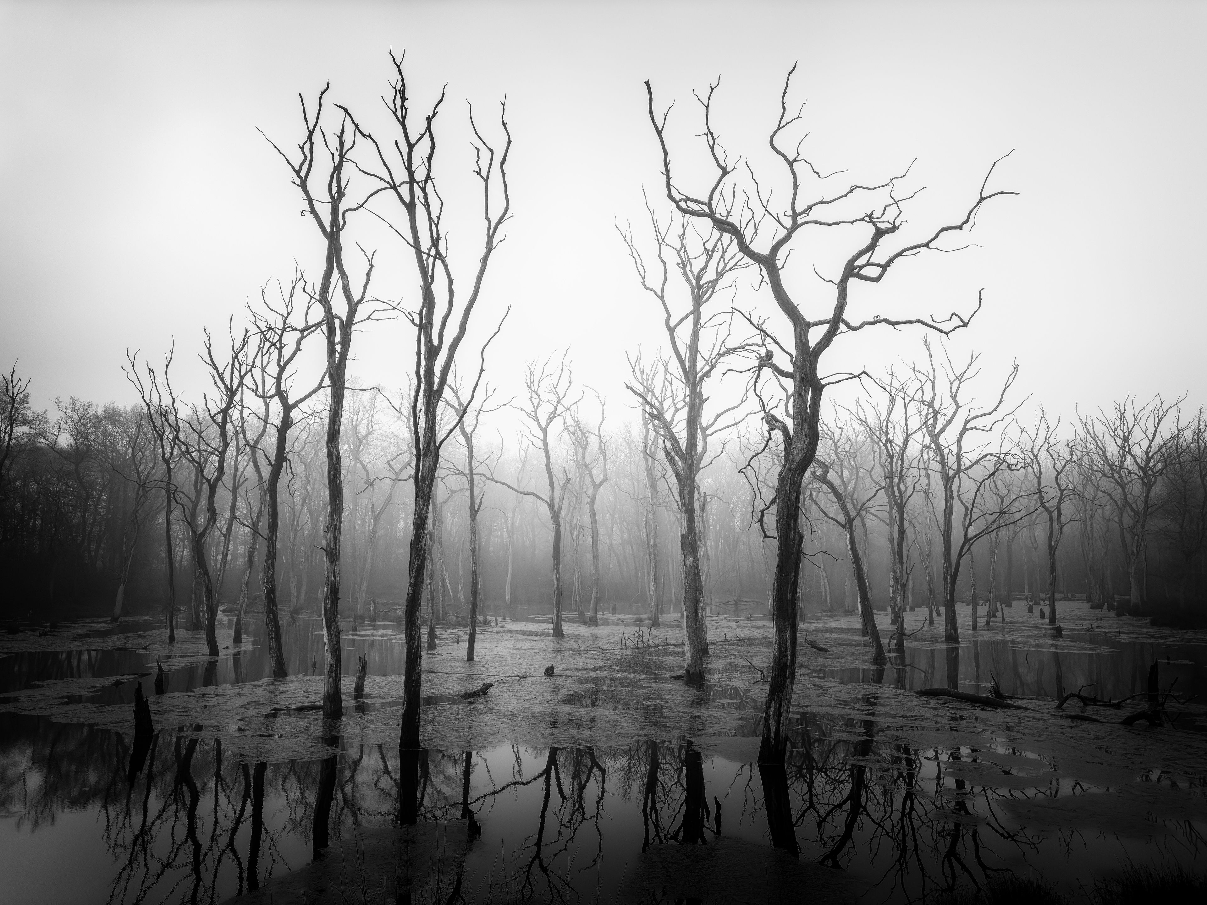 [Monatsthema] Der CB-Fotowettbewerb Oktober 2025 - schaurig, gruselig ...