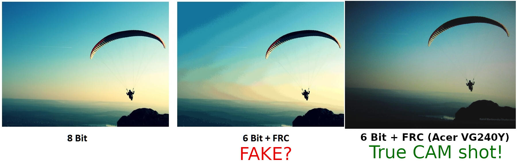 Qulitativ hochwertiger 24" Zoll Monitor für Office, Bildbearbeitung und ...